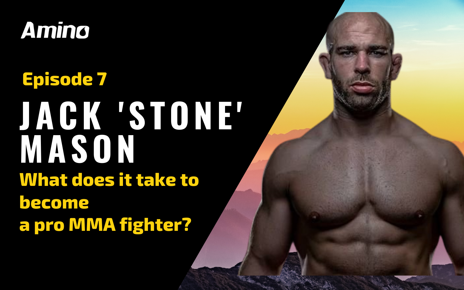 Episode 7: What does it take to become a pro MMA fighter? – Amino